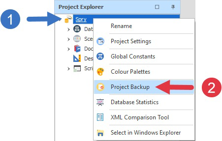 Project Backup – Micromine Spry